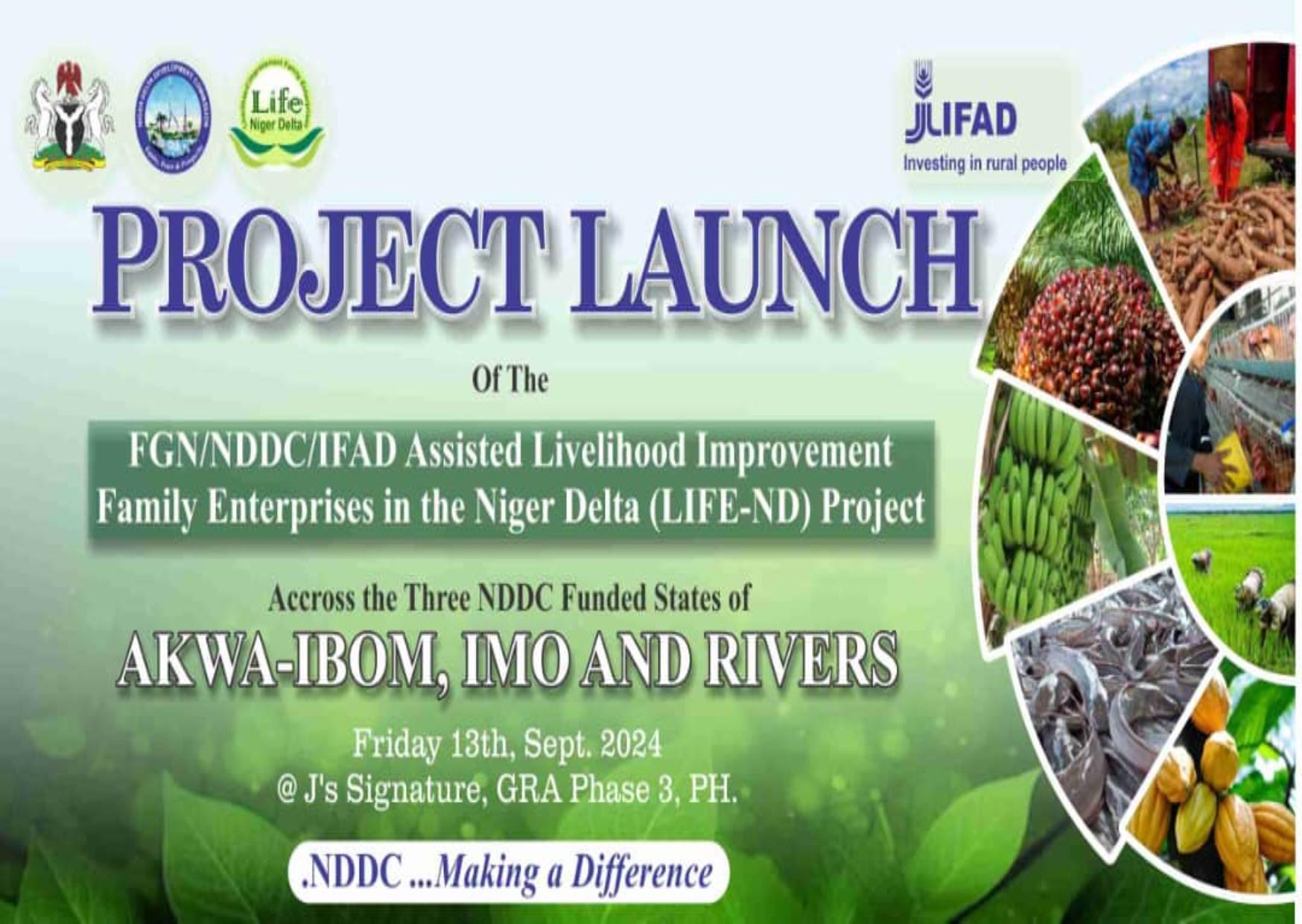 NDDC Launch Livelihood Improvement program across 3 states - Energy ...